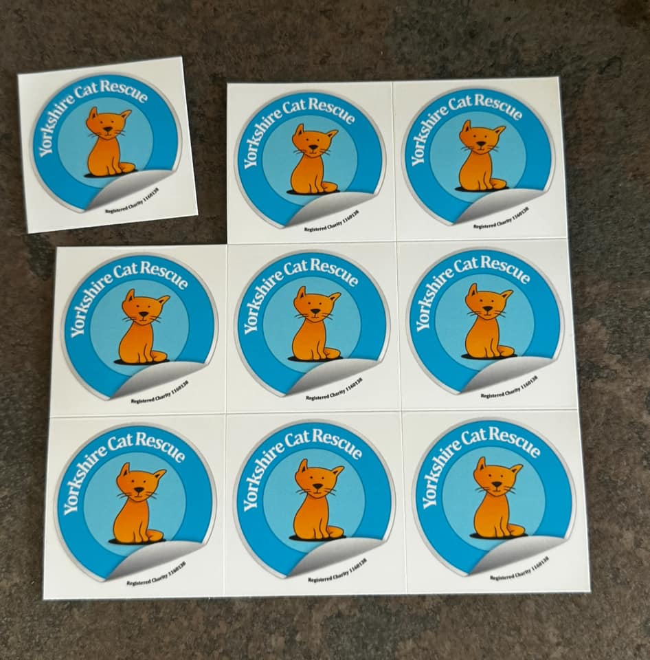 YCR Logo Fridge Magnet – Yorkshire Cat Rescue
